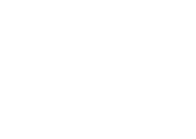 Our Focus - New Regent Capital